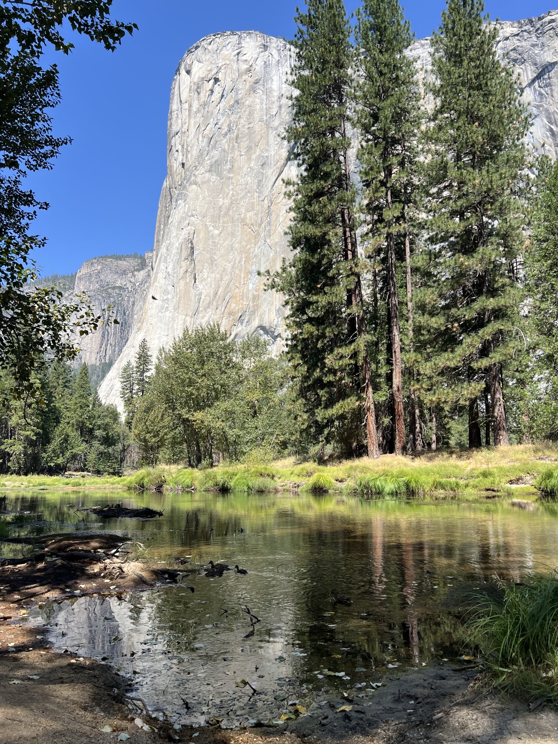 Yosemite National Park – Down the Road a Piece RV Travels